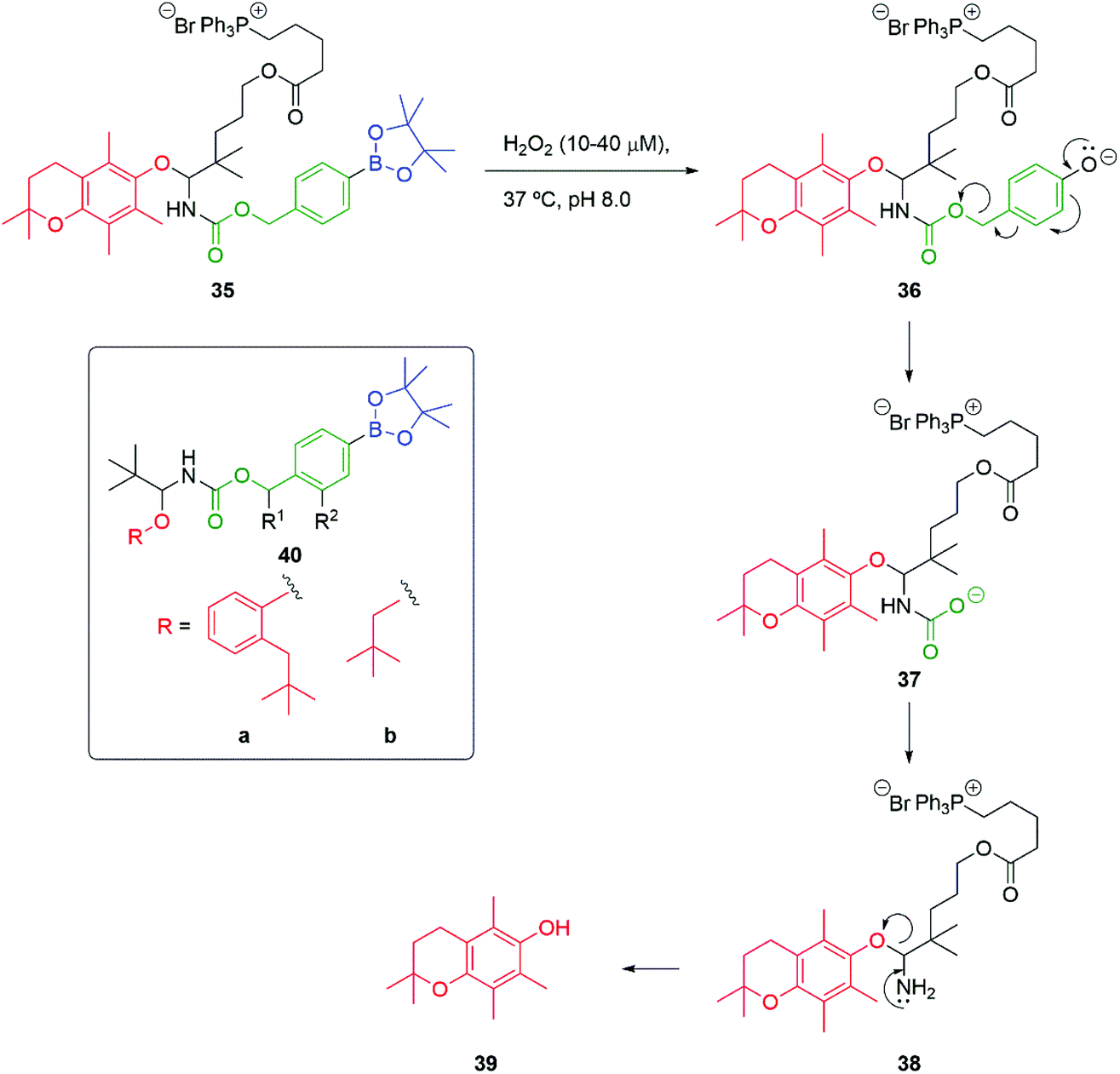 Recent advances in self-immolative linkers and their applications in ...