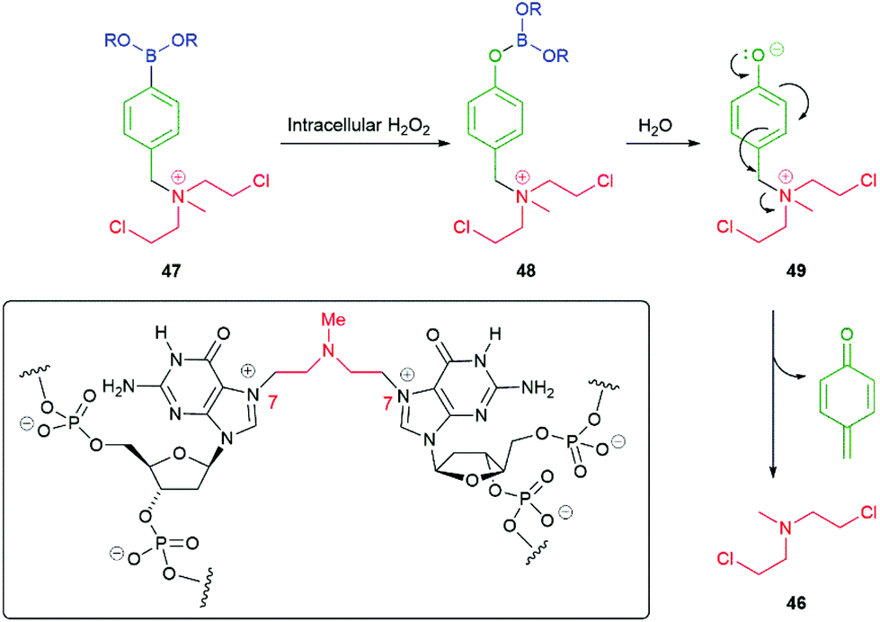 Recent advances in self-immolative linkers and their applications in ...