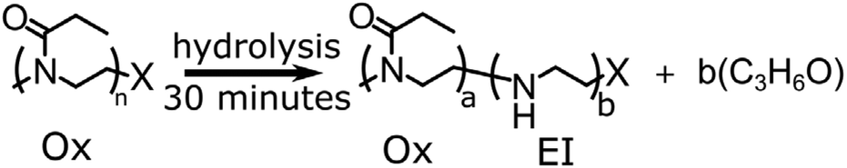 Stochasticity of poly(2-oxazoline) oligomer hydrolysis determined by ...