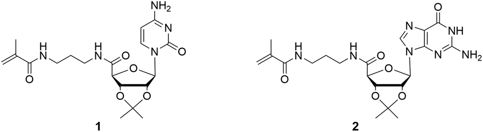 Synthesis and self-assembly of cytidine- and guanosine-based copolymers ...