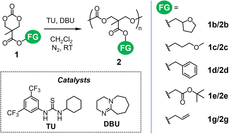 Organic carboxylate salt-enabled alternative synthetic routes for bio ...