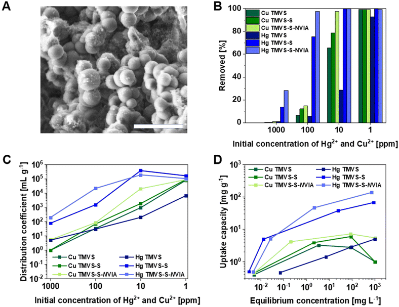 Inverse vulcanization of trimethoxyvinylsilane particles - Polymer ...