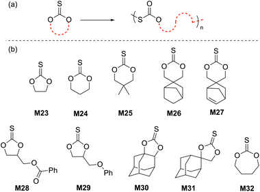 Recent advances in the ring-opening polymerization of sulfur-containing ...
