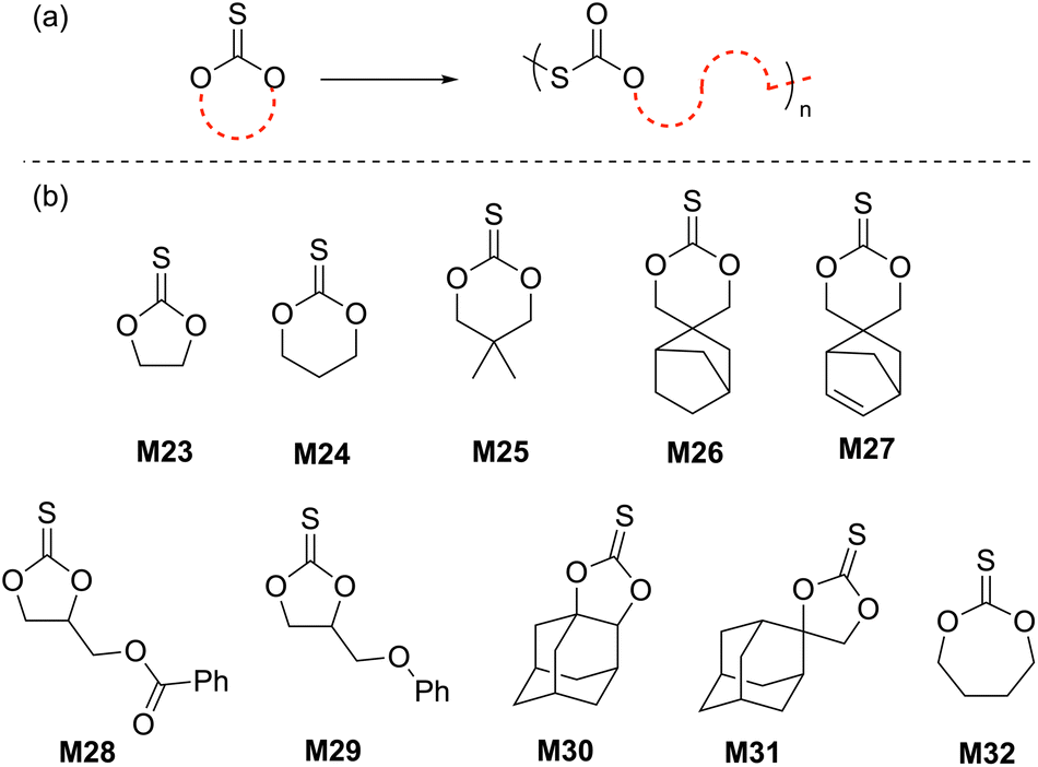 Recent advances in the ring-opening polymerization of sulfur-containing ...