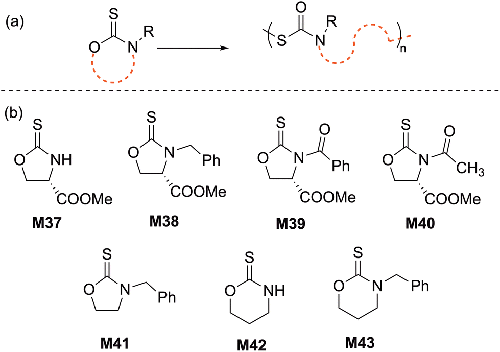 Recent advances in the ring-opening polymerization of sulfur-containing ...