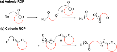 Recent advances in the ring-opening polymerization of sulfur-containing ...