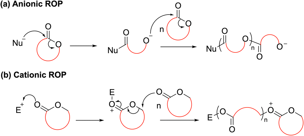 Recent advances in the ring-opening polymerization of sulfur-containing monomers - Polymer ...