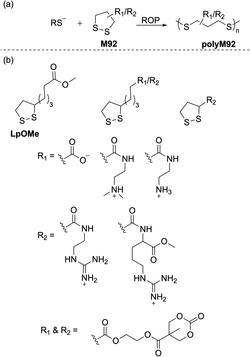 Recent advances in the ring-opening polymerization of sulfur-containing ...