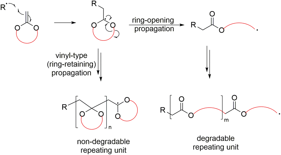 Recent advances in the ring-opening polymerization of sulfur-containing ...