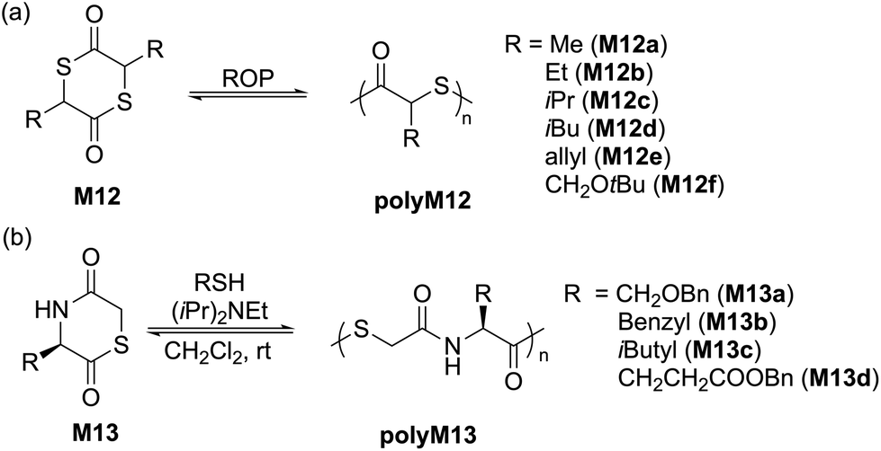 Recent advances in the ring-opening polymerization of sulfur-containing ...