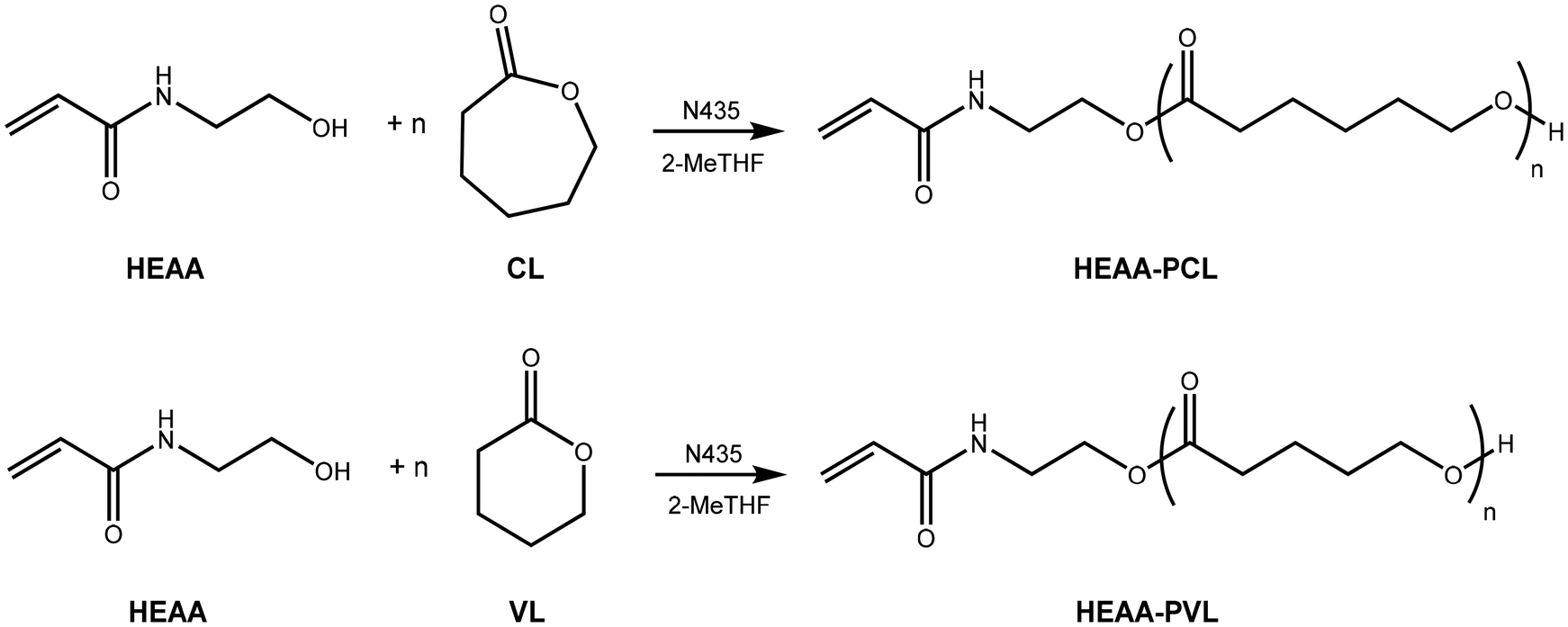 N -Hydroxyethyl acrylamide as a functional eROP initiator for the ...