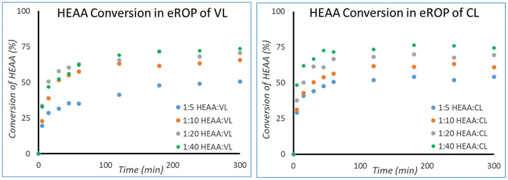 N -Hydroxyethyl acrylamide as a functional eROP initiator for the ...