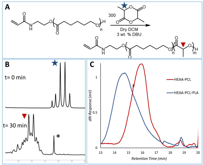 N -Hydroxyethyl acrylamide as a functional eROP initiator for the ...