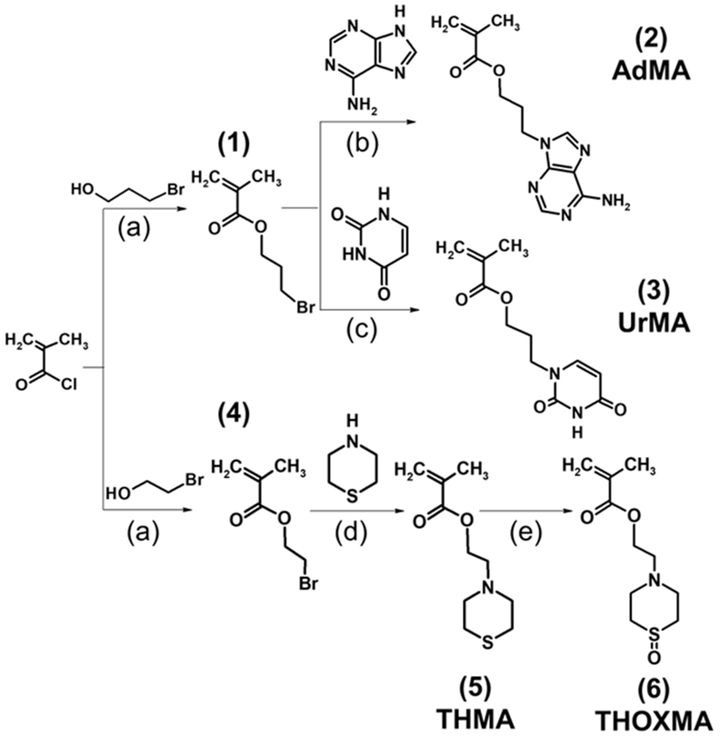 Supramolecular co-assembly of water-soluble nucleobase-containing ...