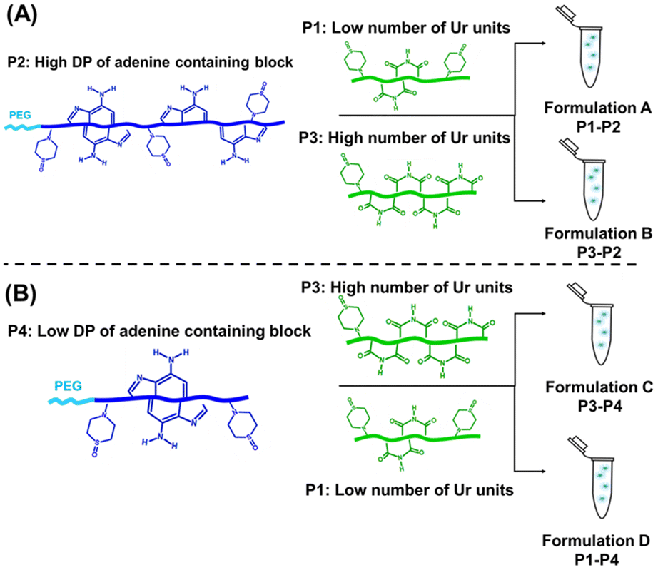 Supramolecular co-assembly of water-soluble nucleobase-containing ...