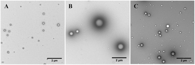 Linear ABC amphiphilic triblock copolymers for complexation and ...