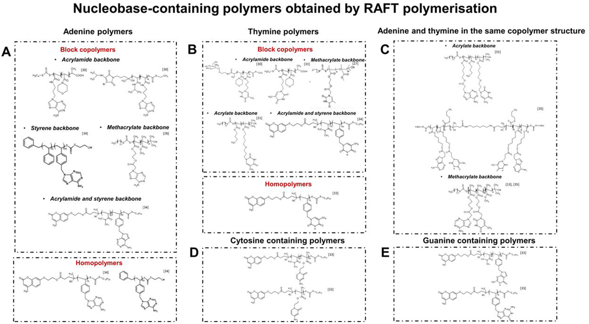 Nucleobase-containing polymer architectures controlled by ...