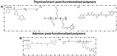 Nucleobase-containing polymer architectures controlled by ...