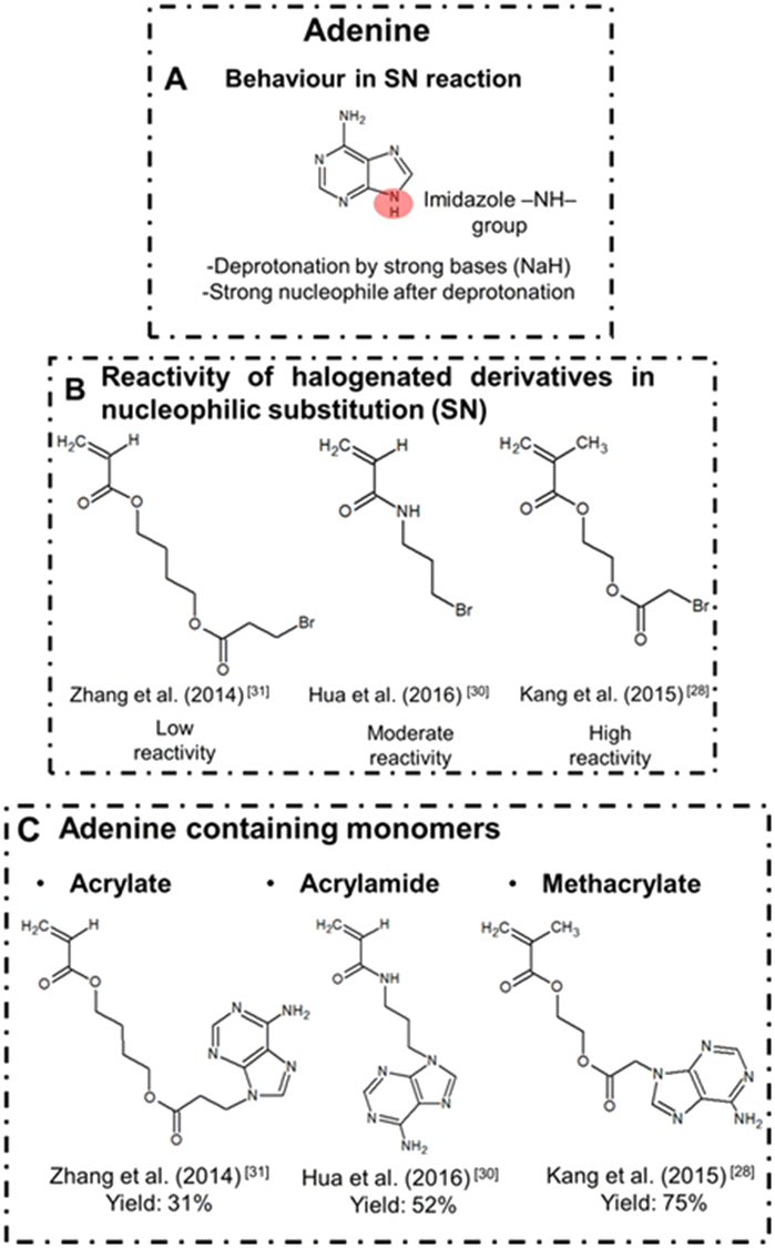 Nucleobase-containing polymer architectures controlled by ...