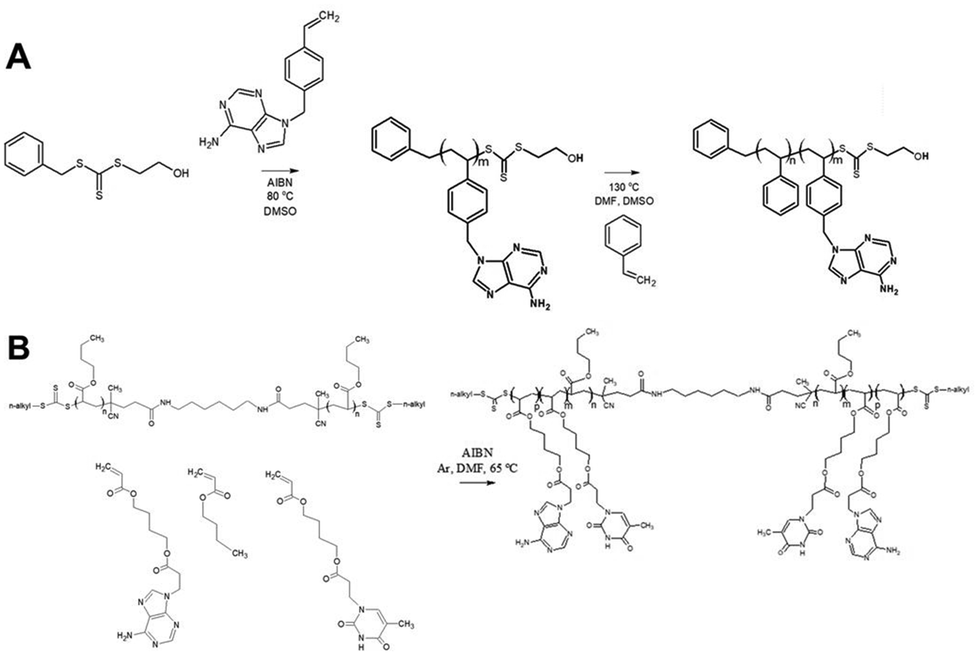 Nucleobase-containing polymer architectures controlled by ...