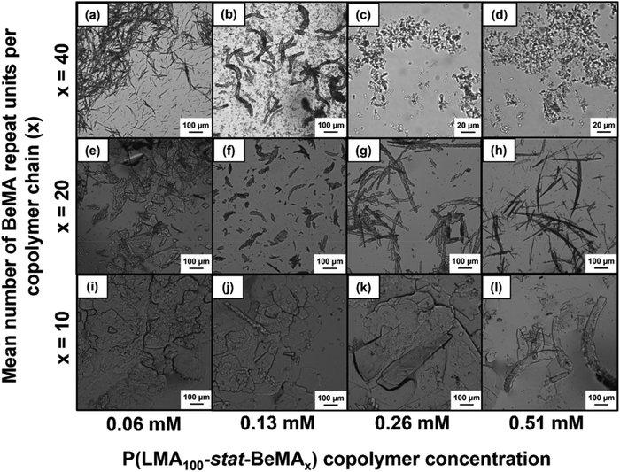 Synthesis of crystallizable poly(behenyl methacrylate)-based block and ...