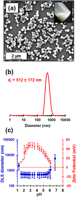Reverse sequence polymerization-induced self-assembly in aqueous media ...