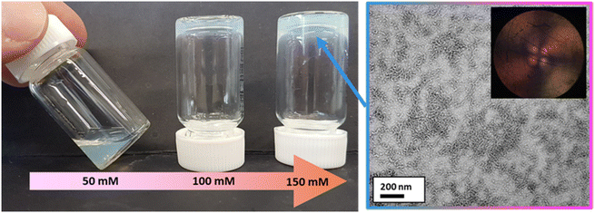 Reverse sequence polymerization-induced self-assembly in aqueous media ...