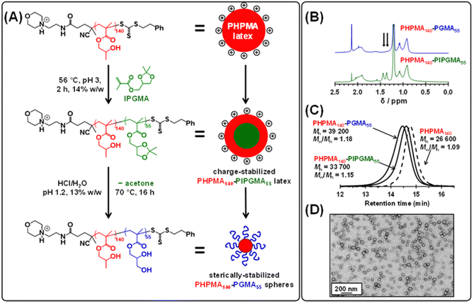Reverse sequence polymerization-induced self-assembly in aqueous media ...