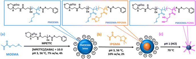 Reverse sequence polymerization-induced self-assembly in aqueous media ...