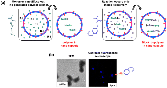 Self-catalyzed synthesis of a nano-capsule and its application as a ...