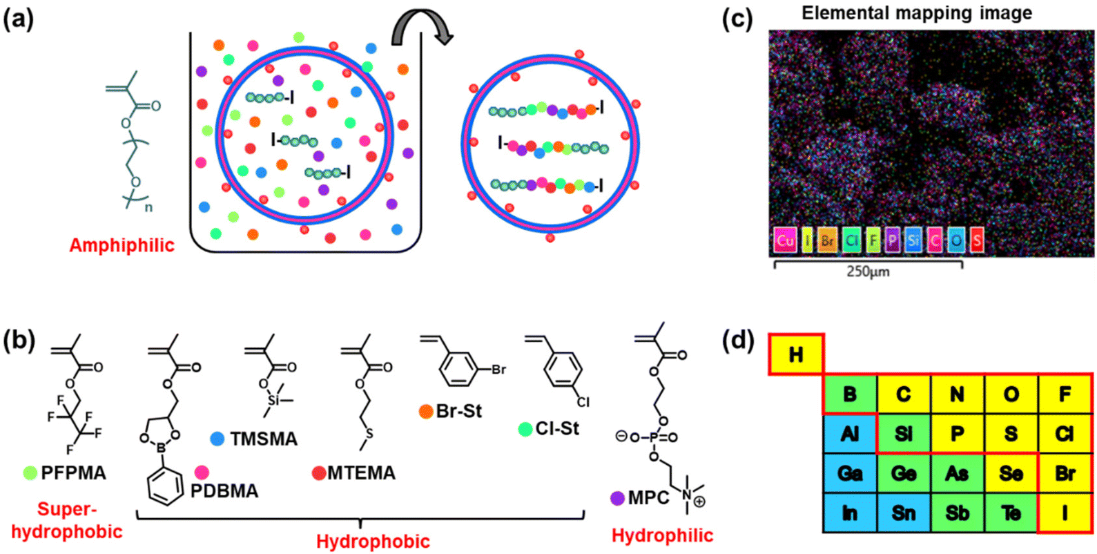 Self-catalyzed synthesis of a nano-capsule and its application as a ...