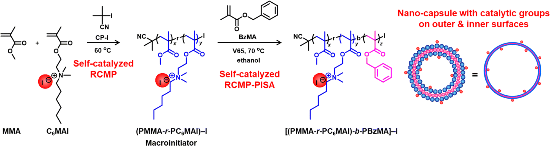 Self-catalyzed synthesis of a nano-capsule and its application as a ...
