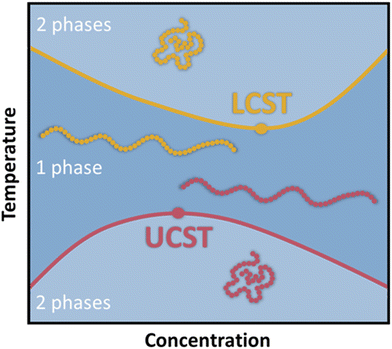Thermoresponsive polymers in non-aqueous solutions - Polymer Chemistry ...