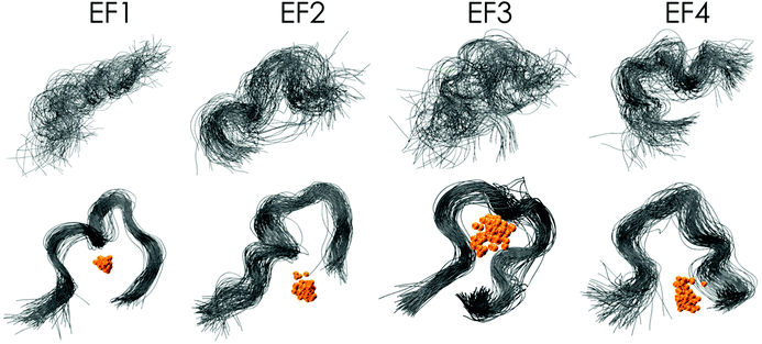 Lanmodulin peptides – unravelling the binding of the EF-Hand loop ...