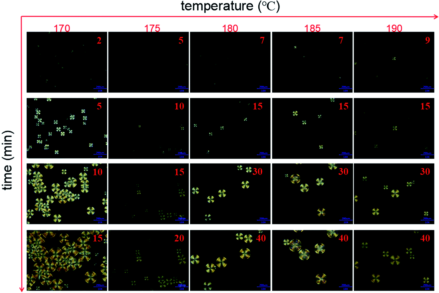 Crystallization, thermal and mechanical properties of stereocomplexed ...