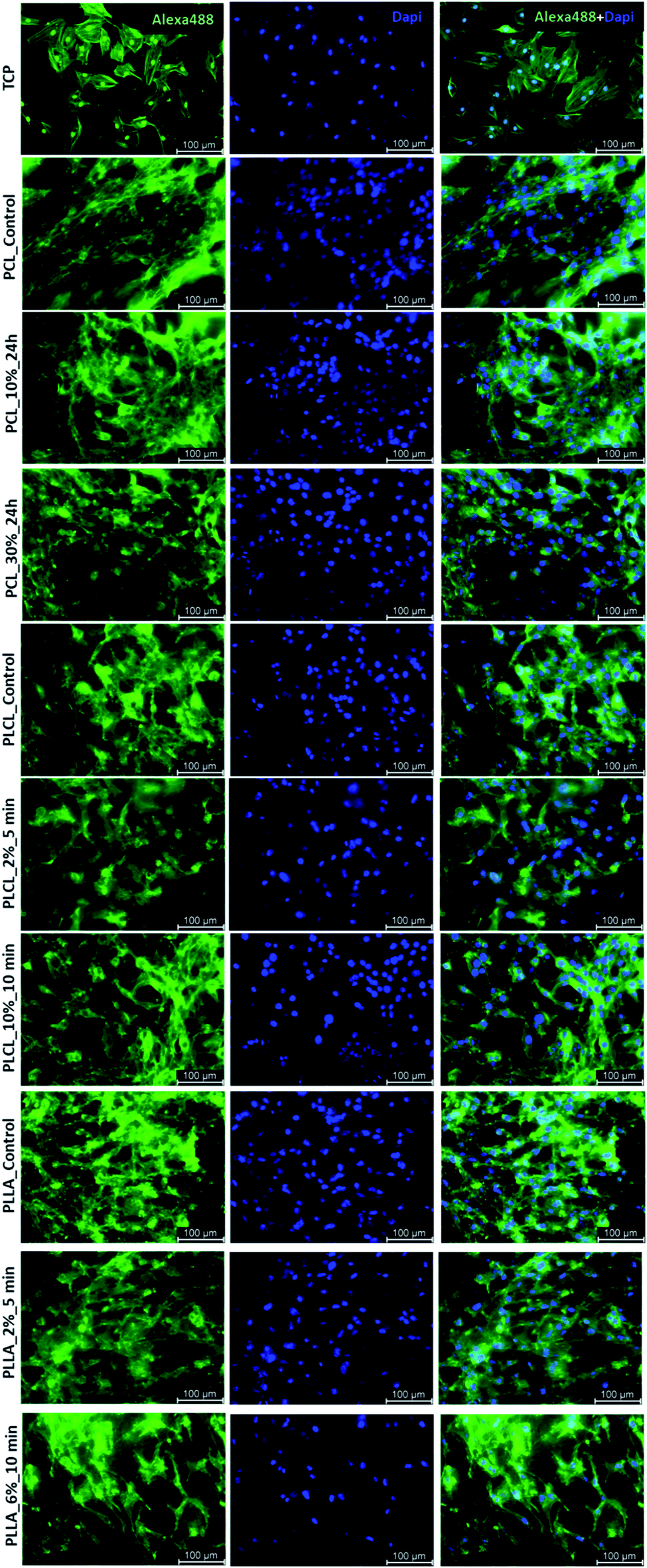 Aminolysis as a surface functionalization method of aliphatic polyester ...