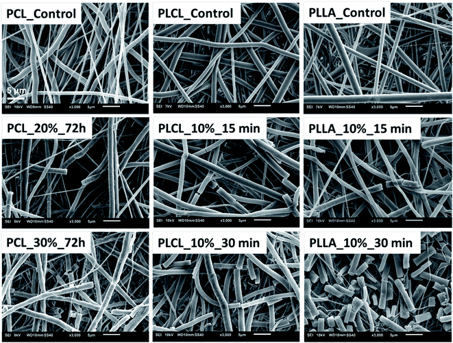 Aminolysis as a surface functionalization method of aliphatic polyester ...