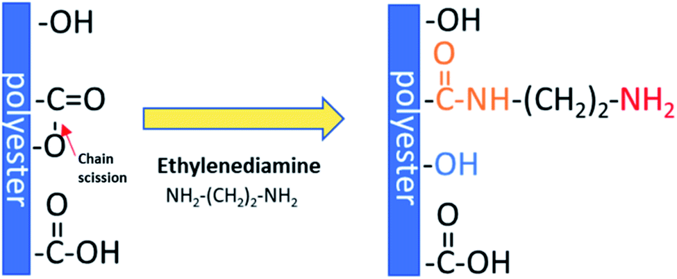 Aminolysis as a surface functionalization method of aliphatic polyester ...
