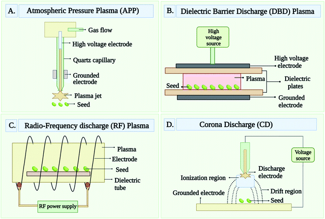 Emerging cold plasma treatment and machine learning prospects for seed ...