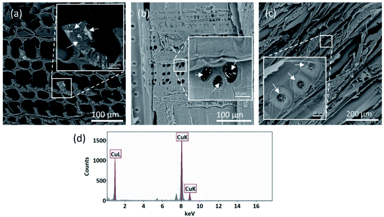 Revealing the structural and chemical properties of copper-based ...