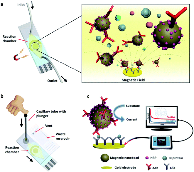 Rapid diagnosis of COVID-19 via nano-biosensor-implemented biomedical ...