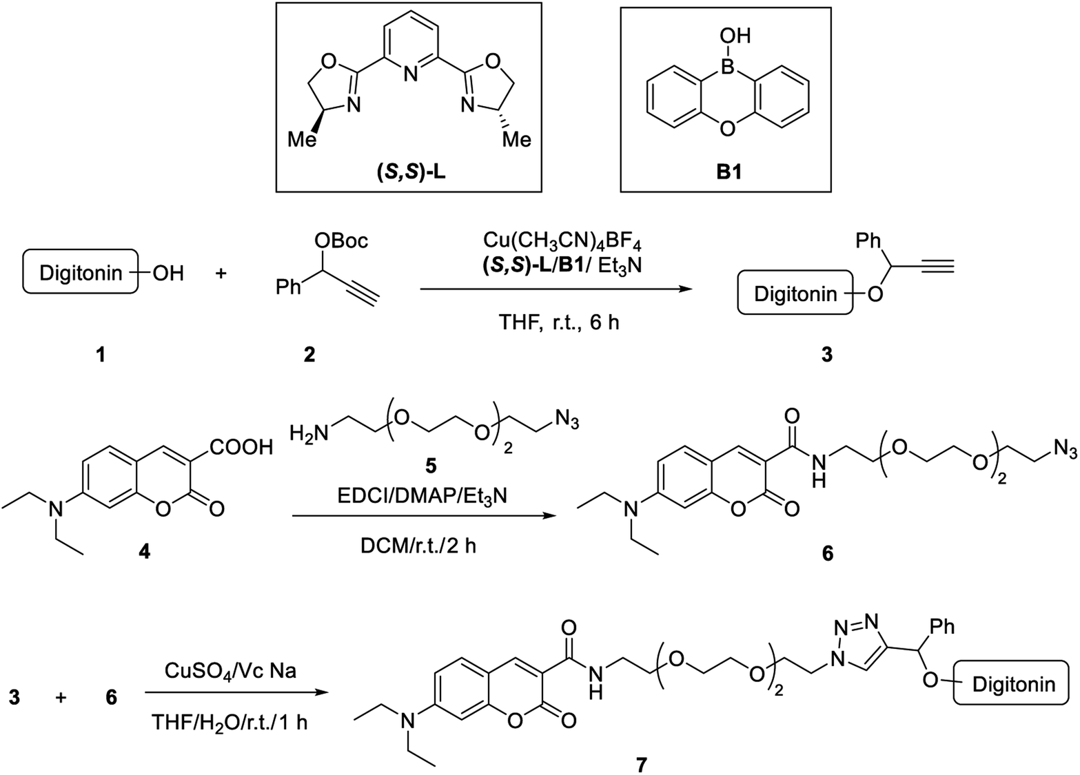 A novel fluorescent digitonin derivative for non-invasive skin ...