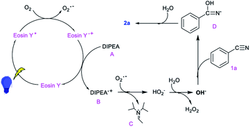 DIPEA-induced activation of OH − for the synthesis of amides via ...