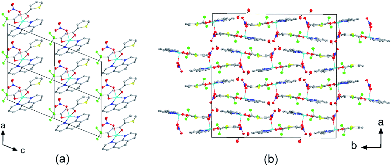 Mixed-ligand complexes of copper( ii ) with thienoyltrifluoroacetonate ...