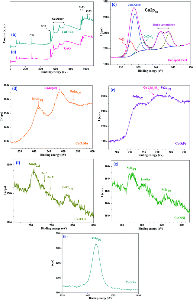 Non-doped and transition metal-doped CuO nano-powders: structure ...