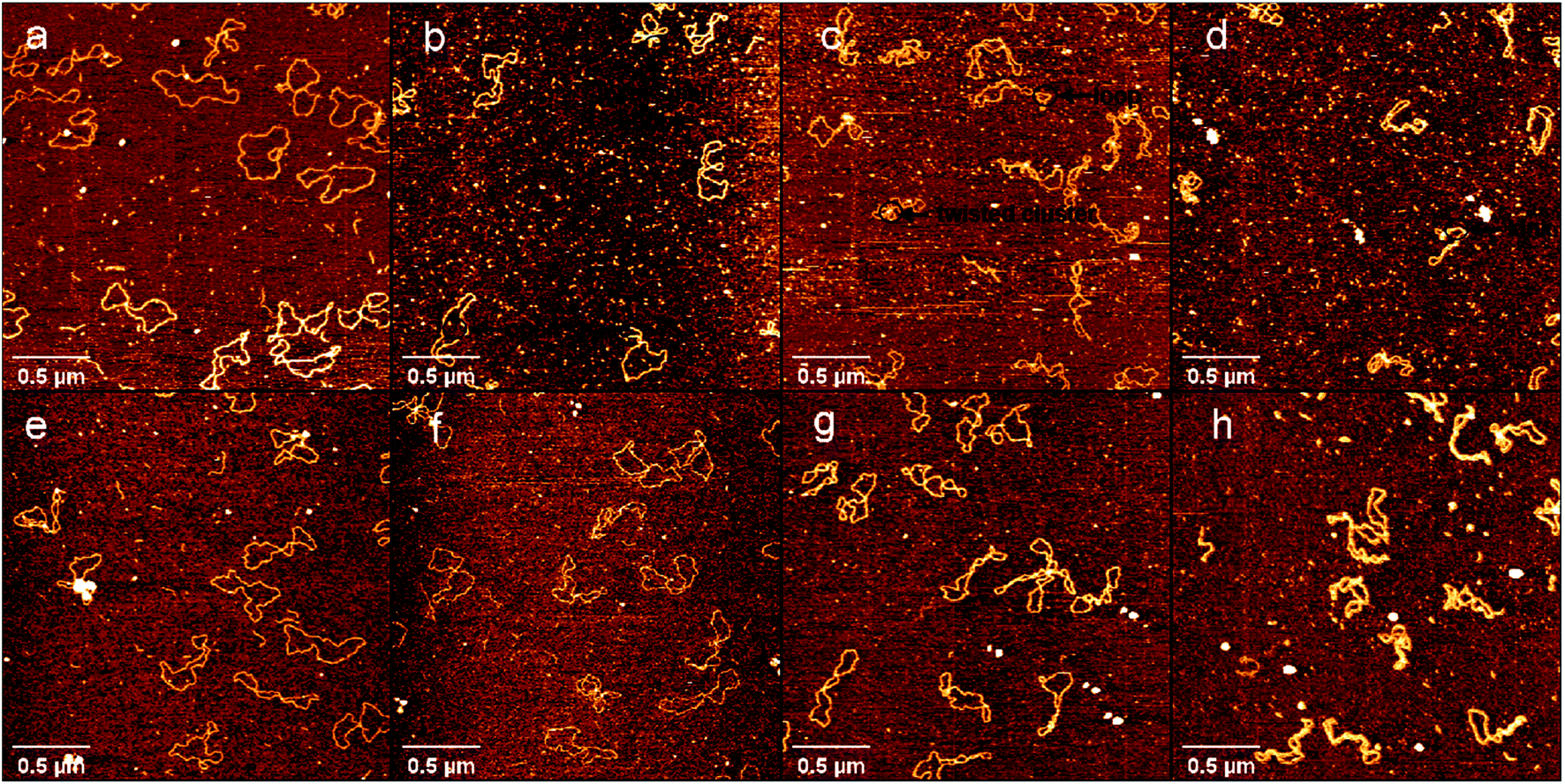 The incipient denaturation mechanism of DNA - RSC Advances (RSC ...