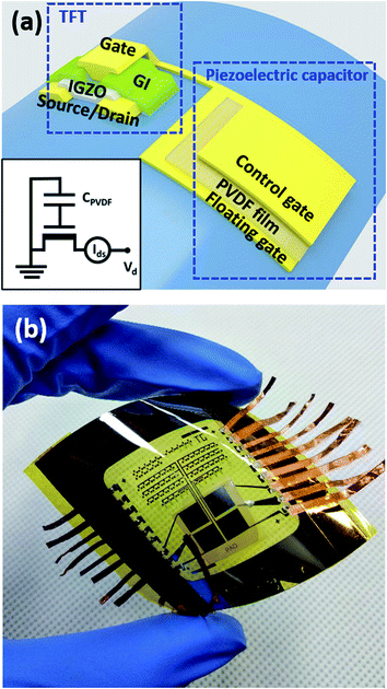 Highly-stable flexible pressure sensor using piezoelectric polymer film ...