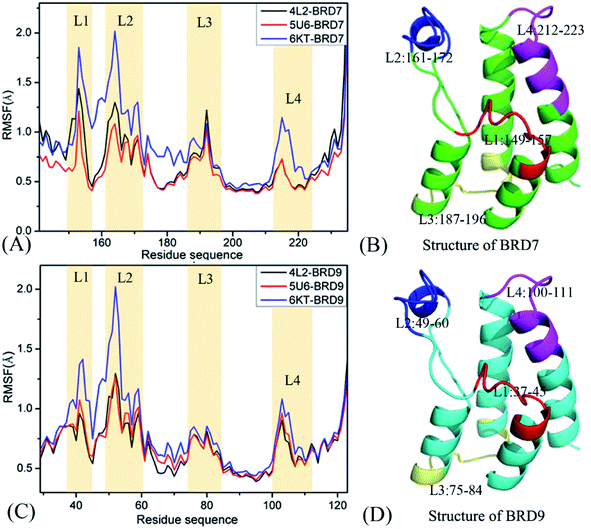 Theoretical exploration of the binding selectivity of inhibitors to BRD7 and BRD9 with multiple ...