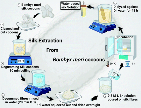 ALD based nanostructured zinc oxide coated antiviral silk fabric - RSC ...