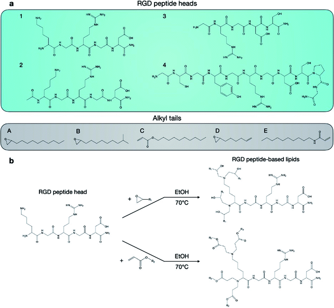 RGD peptide-based lipids for targeted mRNA delivery and gene editing applications - RSC Advances ...